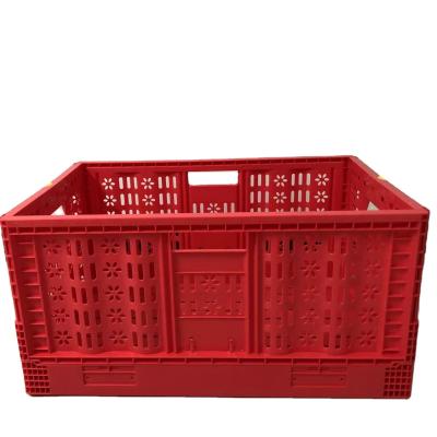 China Mesh Style 600*400 PP Collapsible Plastic Foldable Box for Agriculture Fruits Storage for sale