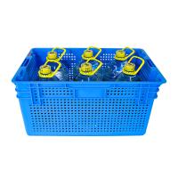 China Customized Logo Mesh Kitchen Plastic Dislocation Basket for Stackable Fruit Storage for sale