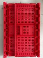 China Plastic Mesh Style Folding Box for Durable Storage of Fresh Fruits and Vegetables for sale