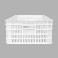 China Durable 16 Quart Plastic Crates for Bottle Storage of Beer Wine and Milk Bottles for sale
