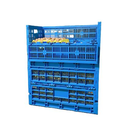 China Foldable Mesh Plastic Chicken Chick Cage Crate with Storage Box For Poultry in Blue PP for sale