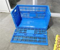 China Foldable Mesh Crates and Egg Plastic Boxes for Convenient Egg Transportation for sale