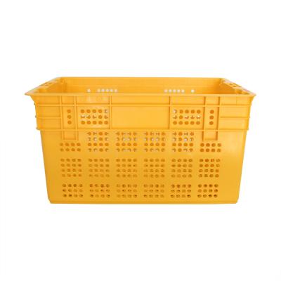 China ISO9001 Certified Tourtop Plastic Crate for Food and Fruit Storage in Supermarkets for sale