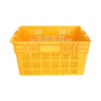 China ISO9001 Certified Tourtop Plastic Crate for Food and Fruit Storage in Supermarkets for sale