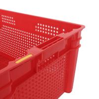 China 640*420*305mm Poultry Plastic Transport Crate for Safe and Convenient Chicken Handling for sale