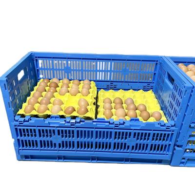 China Farm Storage Solution PP Egg Plastic Crate with 8/12/14 Trays Mesh Box Style Customized for sale