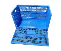 China Farm Storage Solution PP Egg Plastic Crate with 8/12/14 Trays Mesh Box Style Customized for sale