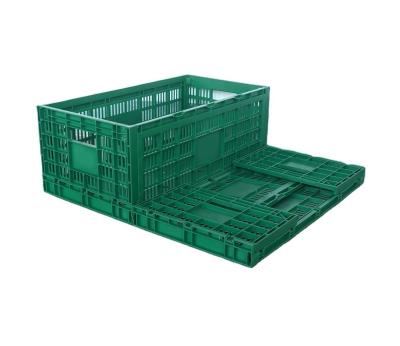 China Foldable PP PE Mesh Egg Crate Storage Boxes in Variety Color for Agricultural Harvest for sale