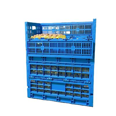 China Chicken Transport and Egg Storage Collapsible Plastic Crate with Storange Function for sale