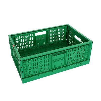 China Collapsible Plastic Pallet Crate Perfect for Storing Large Mesh Fruits and Vegetables for sale