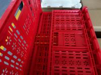 China Collapsible Plastic Pallet Crate Perfect for Storing Large Mesh Fruits and Vegetables for sale