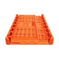 China Customized Logo Tourtop Folding Plastic Crate for Fruits and Vegetables Acceptable OEM for sale