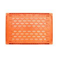 China Customized Logo Tourtop Folding Plastic Crate for Fruits and Vegetables Acceptable OEM for sale
