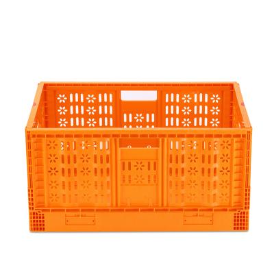 China Customized Plastic Bread Crate for Orange Different Sizes and Logo for sale