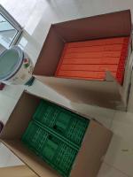 China Foldable PE Plastic Crates for Fresh Vegetables Weather-resistant and UV-stable for sale