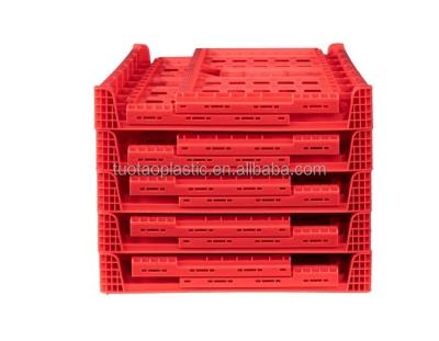 China Mesh Style Agriculture Foldable PP Crates for Fruit Mushroom Vegetables Storage Durable for sale