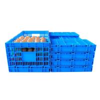 China Customized Logo Blue Egg Storage Box Refrigerator for Modern Chicken Grid Drawer Type for sale