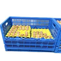 China Customized Logo Blue Egg Storage Box Refrigerator for Modern Chicken Grid Drawer Type for sale