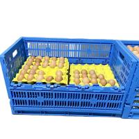 China Foldable Green Plastic PP Stackable Beer Wine Milk Crate with Storange Capability for sale