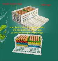 China Stackable Mesh Plastic Crate for Industrial Vegetable and Fruit Storange Solution for sale