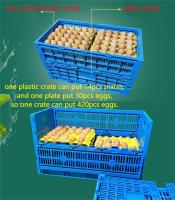 China Foldable PE Plastic Totes Container Heavy Duty Storage Solution with PE Material for sale
