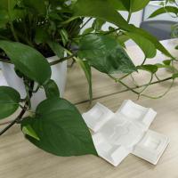 China Environmentally friendly white sugarcane bagasse pulp molding with wet pressing for high-end liquor packaging base, featuring embedded bottle bottom for shock absorption. for sale