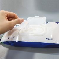 China Global Agents Unscent Presaturated Cleanroom Wipes 40pcs 120g/m² Nonwoven Water Wet Wipes for ISO Class 3-8 Environments for sale