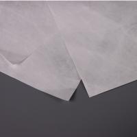 China 40g Tyvek Cleanroom Wipes 50x50cm Anti Static Lint Free 250 Sheets Per Pack for sale