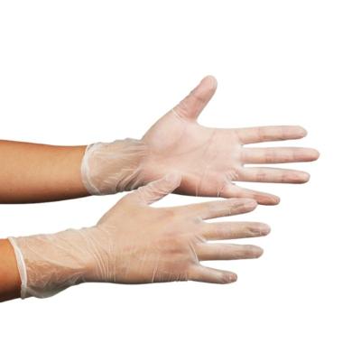 China Powder Free Disposable Vinyl PVC Cleanroom Gloves 100 Pcs per Box Bulk for sale