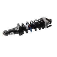 China Air Shock Strut For Audi R8 Rear Air Shock Absorber 420512019AL 420512020AL for sale
