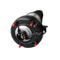 China Audi A8 D4 Air Suspension Shock 4H0616039AD 4H0616040AD for sale