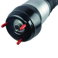 China Silver Color Tech Master Air Suspension Shock For Mercedes W166 for sale