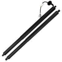 China CJ54S402A55AD Power Lift Gate With Remote Control Easy Opening And Closing Ford KUGA Escape 2013-2019 LH for sale