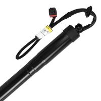 China Range Rover SPORT 2010-2013 LH/RH Automatic Power Lift Gate Easy Opening Closing LR062078 LR051443 LR029900 for sale