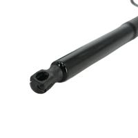 China Smart Power Lift Gate with Remote Control - Easy Access 155148899B 155148900B For Tesla Model 3 2021-2023 for sale