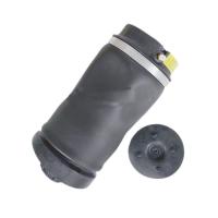 China Black Rear Air Suspension Spring 2513200425 W251 R350 R500 for sale
