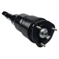 China Front Placement Air Shock Absorber For Exceptional Performance 48020-50240  48010-50242 for sale