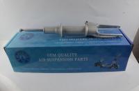 China 97034304105 97034304505 Front Shock Absorber Strut Coil Spring Assembly Porsche Panamera 970 for sale