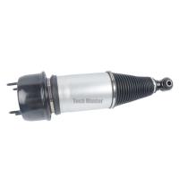 China Tech Master Air Suspension Shock Absorber Rear C2C41341  C2C41343 for sale
