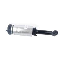 China L320 Shock Absorber Front RNB501580  RNB501180 for sale