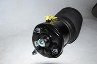 China Front And Rear Air suspension shock air strut For LEXUS LS430 UCF30 for sale
