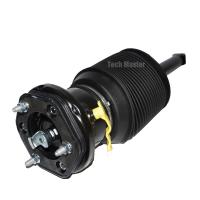 China Rear Left / Right Air Suspension Shock Absorber  48090-50130  48080-50163 for sale