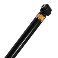 China Rear Air Suspension Shock Absorber With EDC  80A616025  80A513353 for sale