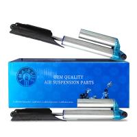 China Ford F150 SVT Raptor STX XLT Car Shock Absorber Rear Left Right ASH-24541  BL3Z18125K for sale