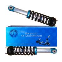 China Ford F150 SVT Raptor STX XLT Car Shock Absorber Front BL3Z-18124-H  BL3Z-18124-J for sale