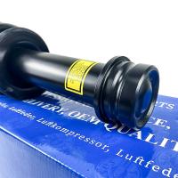China Front Coil Spring Shock Absorber 1030607-01-A  1030607-00-C  For Tesla Model S AWD for sale