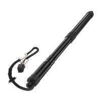 China Power Tailgate Electronic Liftgate For Santa Fe Sport LX45  817702W600 for sale