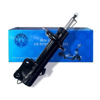 China Car Shock Absorber Strut Front Left Or Right EG9Z18124D EG9Z18124J  For LINCOLN MKZ 2013- for sale