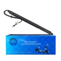 China Durable Power Liftgate / Tailgate Strut 51247294470 For X5 F15 2014-2017 RH (1 PLUGS) for sale