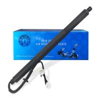 China Excellent Electric Power Liftgate Strut 51247294470 For X5 F15 2014-2017 RH (1 PLUGS) for sale